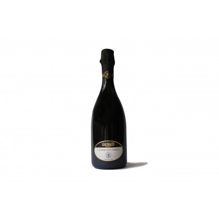 Vino tinto Lambrusco Emilia IGT GIACOBAZZI